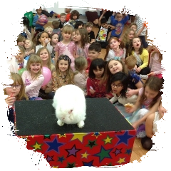 Engaging Magic Shows for Schools and Nurseries in Derbyshire