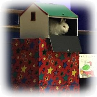 Top Children's Party Entertainer in Derby | Magic Stuart